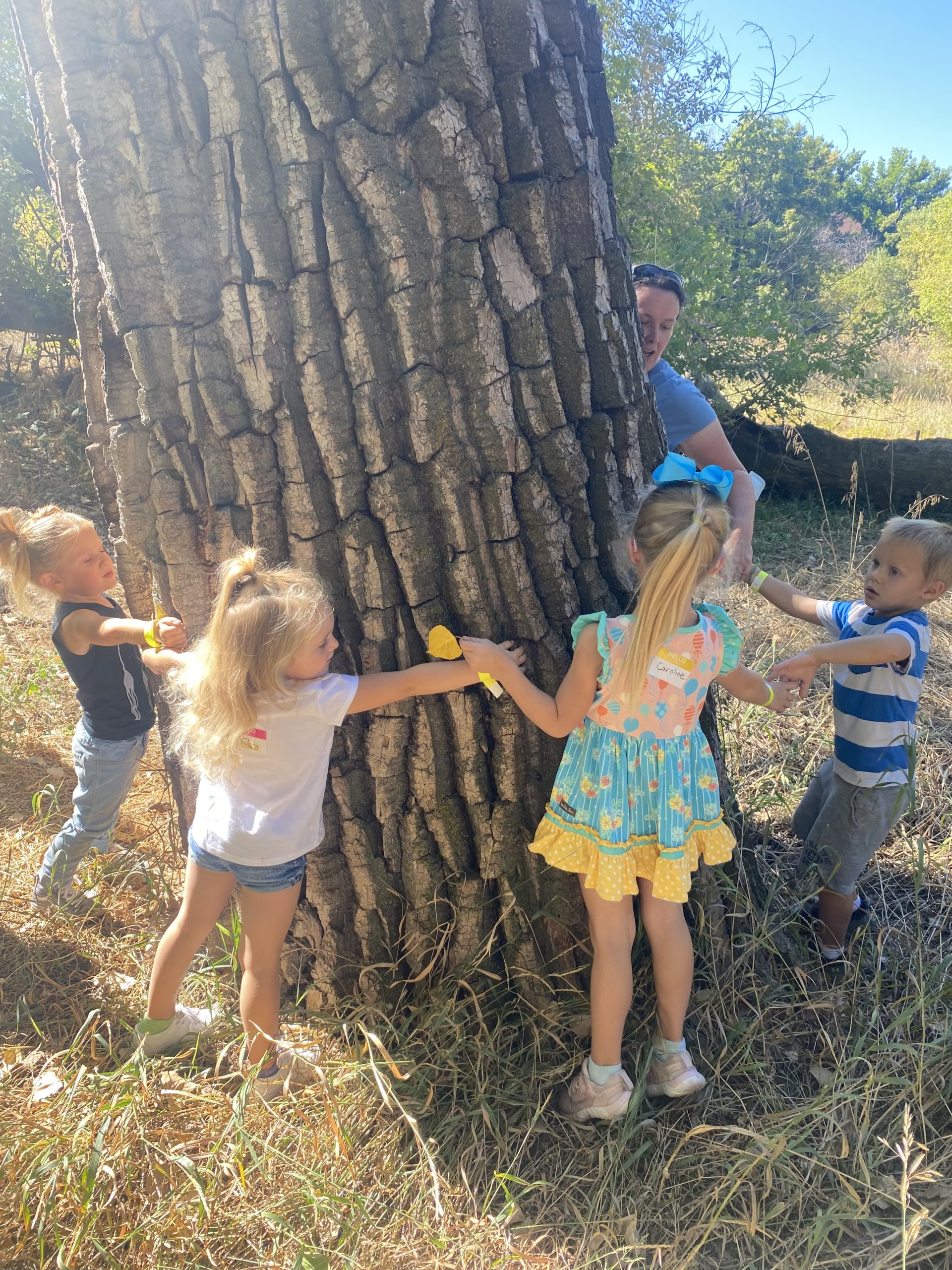 Exploring Creation in Pre-K! - Denver Christian School (DCS)